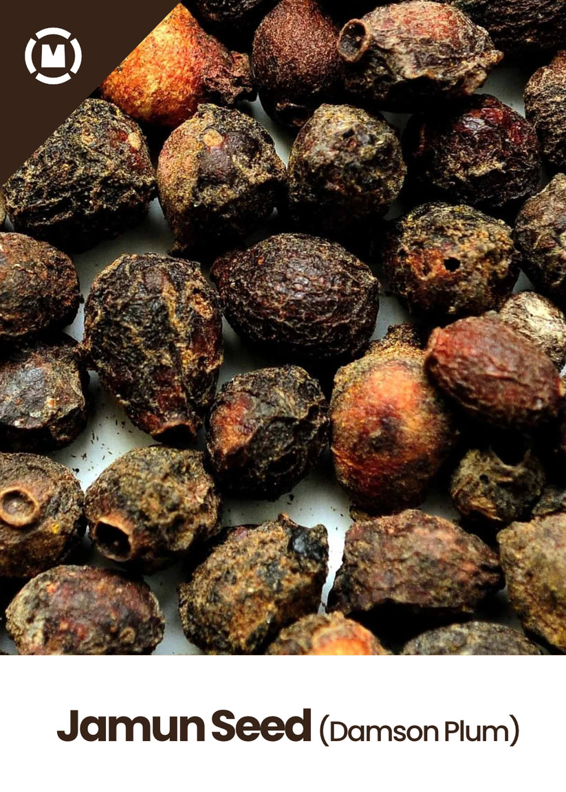 Jamun Seed – Mangalore Spice